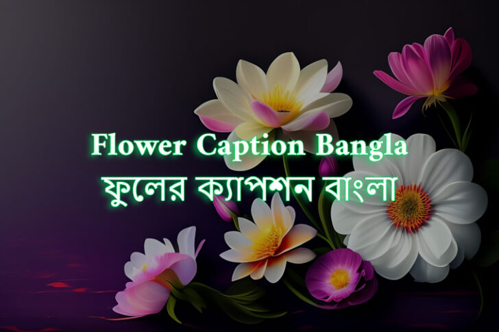 150+ Beautiful Flower Caption Bangla (ফুলের ক্যাপশন) 2026