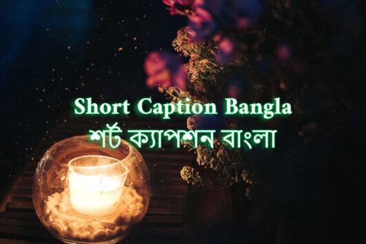 410+ Short Caption For Profile Picture Bangla নতুন 2025